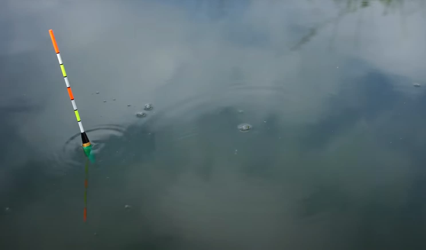 Warum ist Angeln ein Sport?Warum ist Angeln ein Sport? - Sportblog für alle