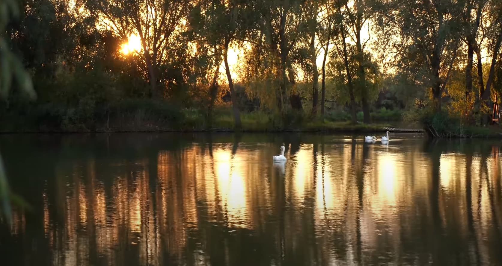 Warum ist Angeln ein Sport?Warum ist Angeln ein Sport? - Sportblog für alle