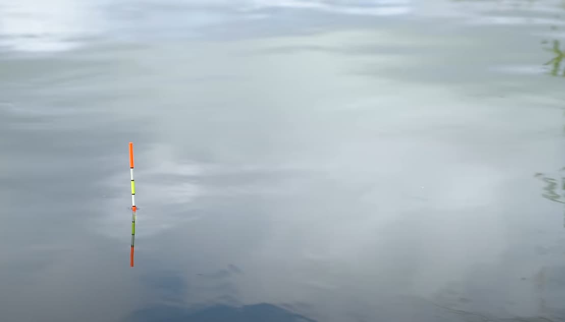 Warum ist Angeln ein Sport?Warum ist Angeln ein Sport? - Sportblog für alle